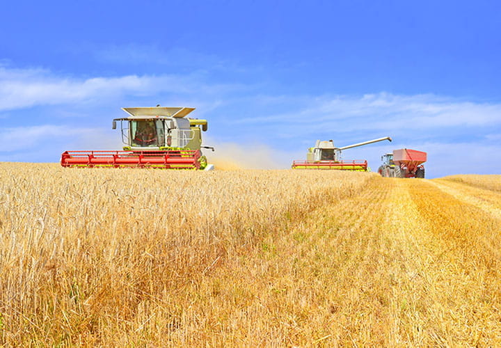 Other Harvesters | TM2000 | Trelleborg tires US